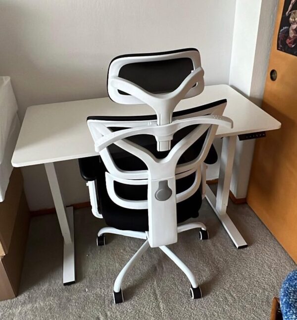 Buy FlexiSpot FQ2 - Height Adjustable Table with 4x2 Ft Top - Simplist Desk