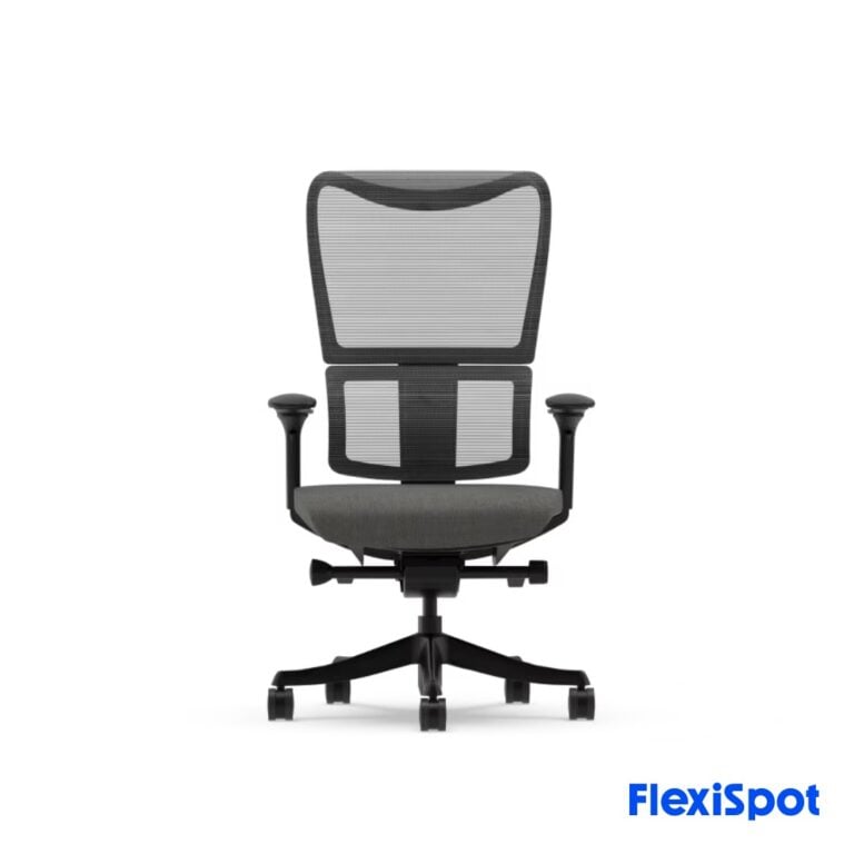 Flexispot BS8 Pro Ergonomic Chair - Simplist Desk